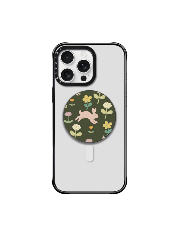 Spring Hop – CASECESS