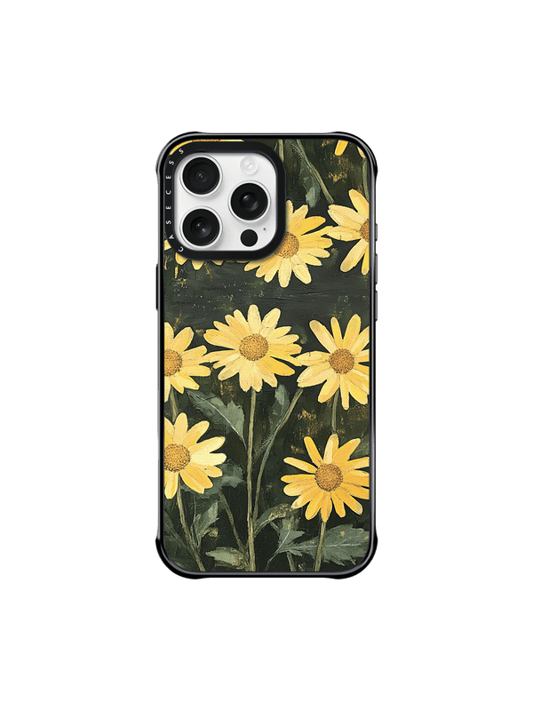 Daisy Sun – CASECESS