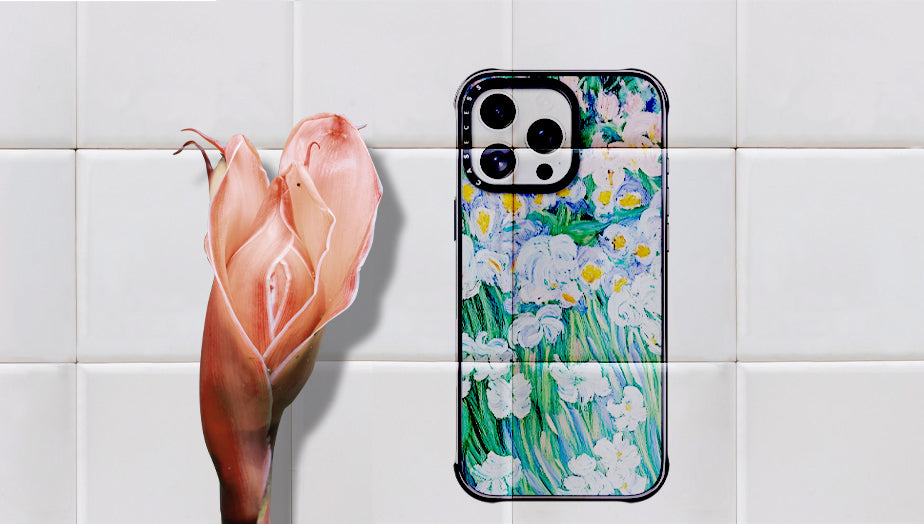 CASECESS: Artful, Replaceable Phone Cases & Accessories