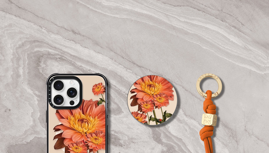 CASECESS: Artful, Replaceable Phone Cases & Accessories