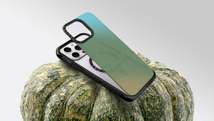 CASECESS: Artful, Replaceable Phone Cases & Accessories